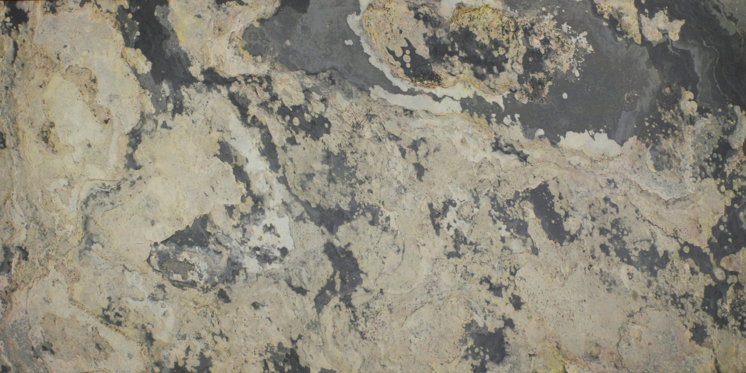 Slate leaf - Fine, flexible and natural slate by StoneLeaf