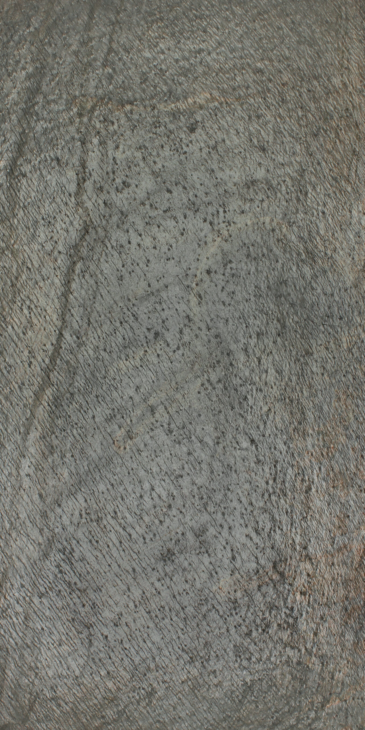 Natural stone leaf Amsterdam - Stoneleaf