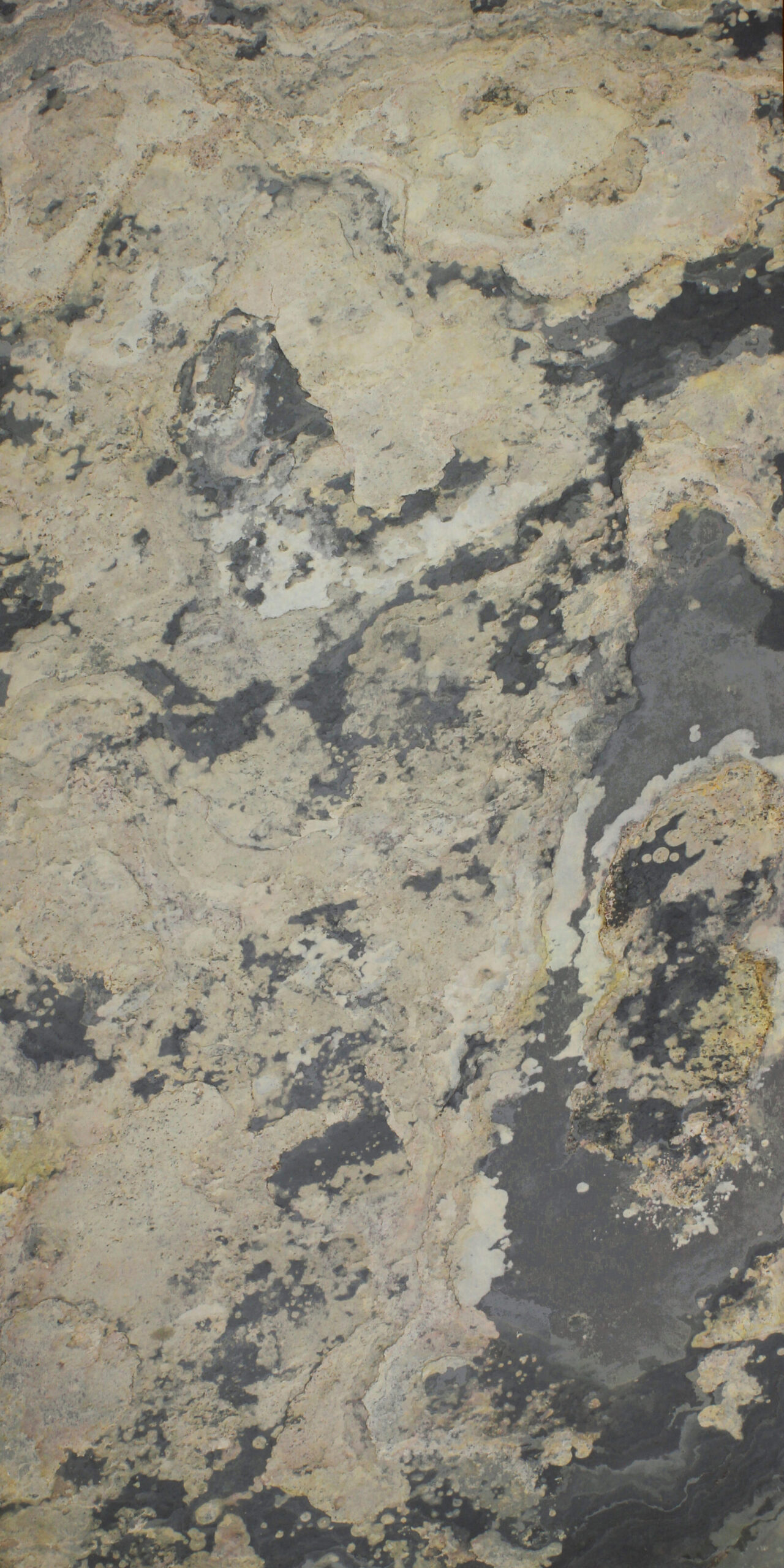 Feuille de Pierre Naturelle Moscou - Stoneleaf