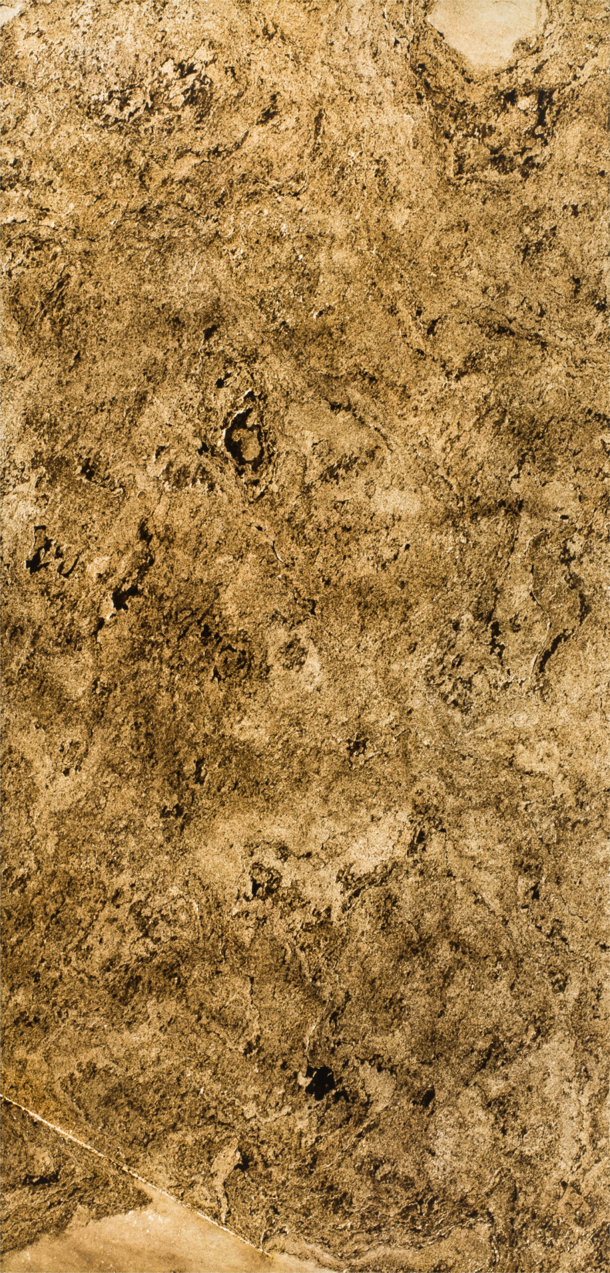 Feuille de Pierre Naturelle Translucide Ankara - Stoneleaf