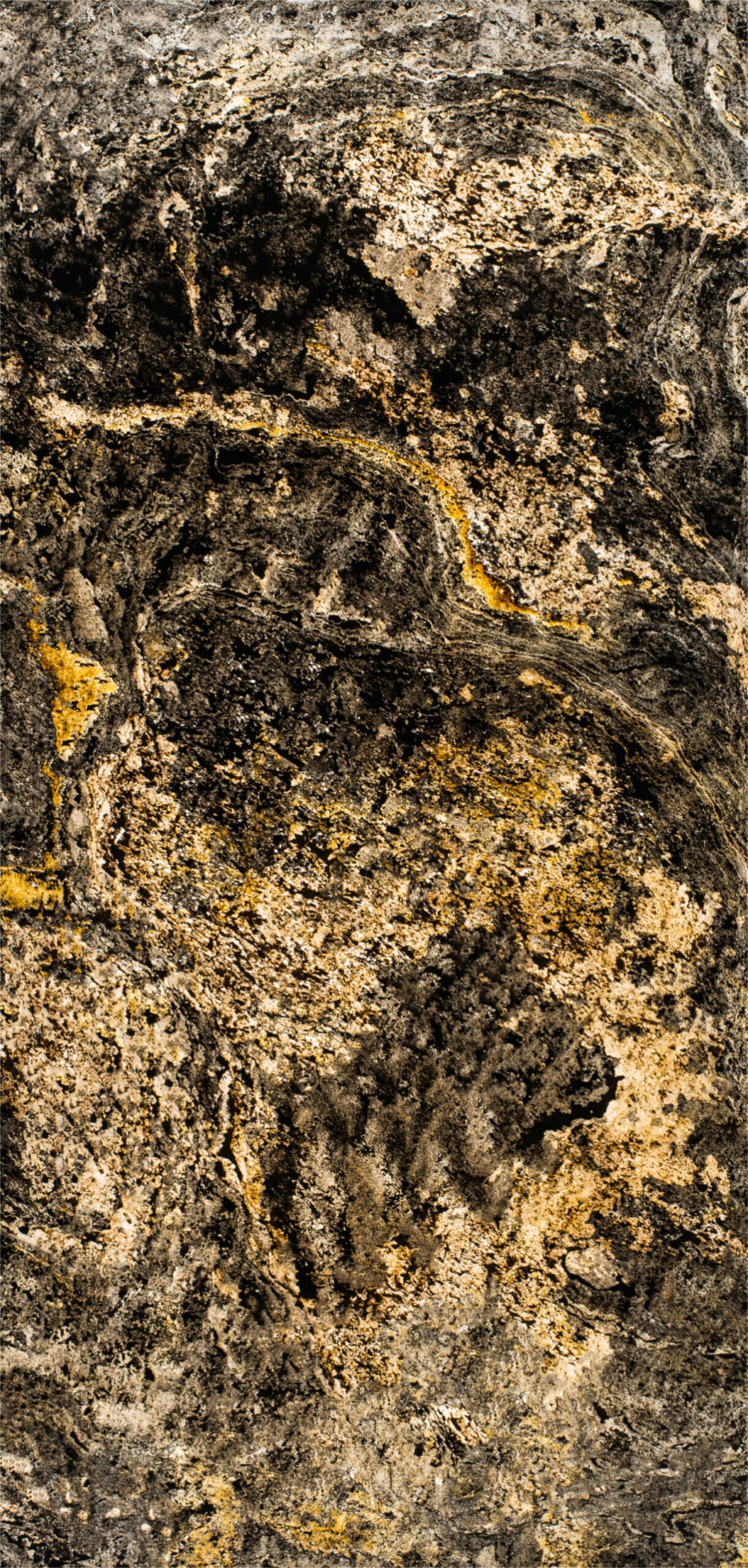 Feuille de Pierre Translucide Moscou - Stoneleaf