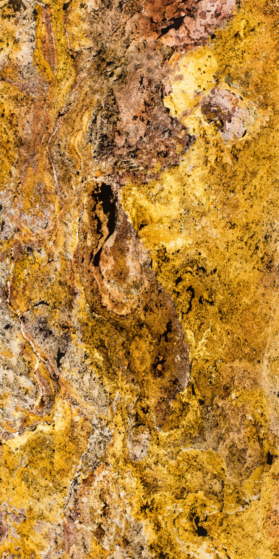 E-Shop - Retrouvez nos feuilles de pierre dans notre e-shop ! StoneLeaf