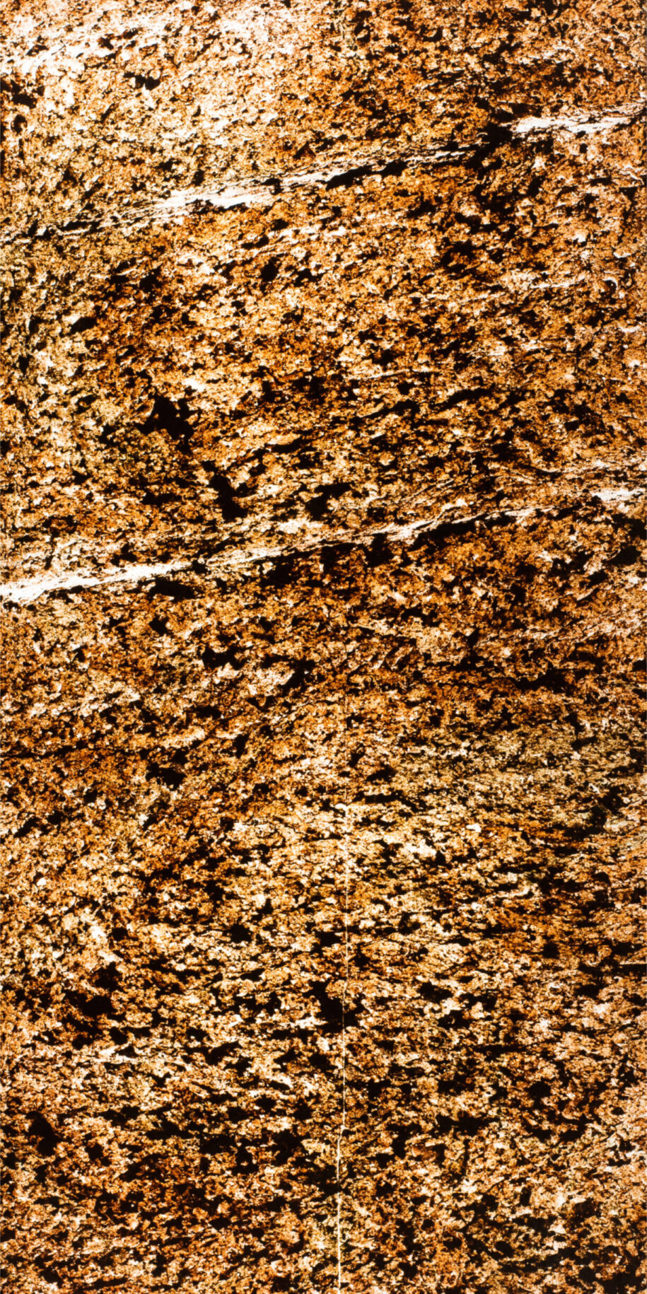 Découvrez nos feuilles de pierre translucide sur l'Eshop StoneLeaf