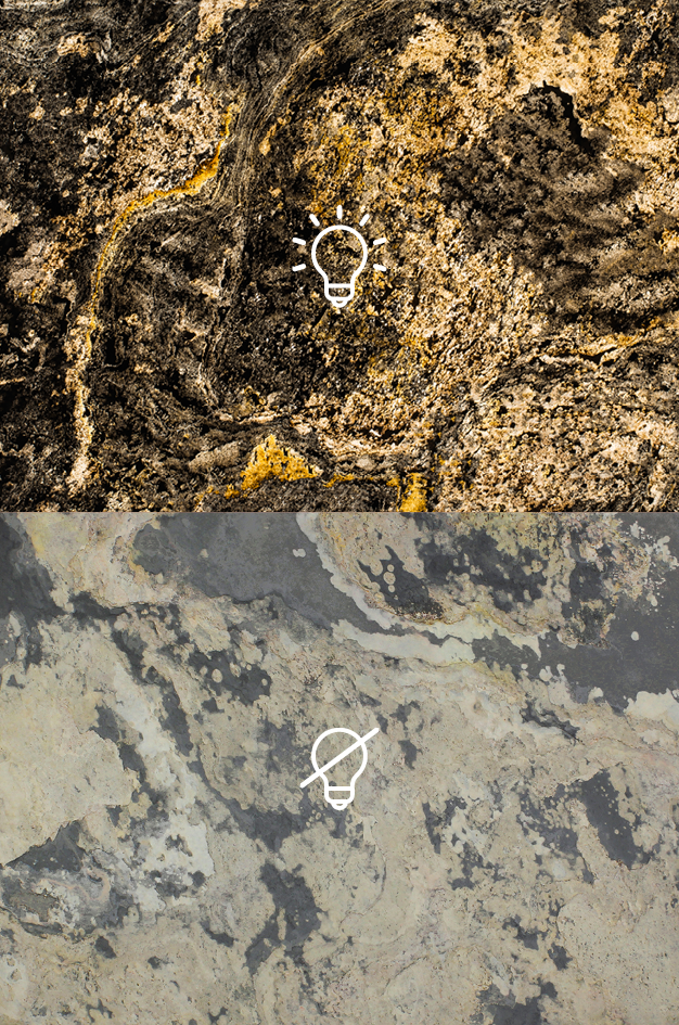 E-Shop - Retrouvez nos feuilles de pierre dans notre e-shop ! StoneLeaf