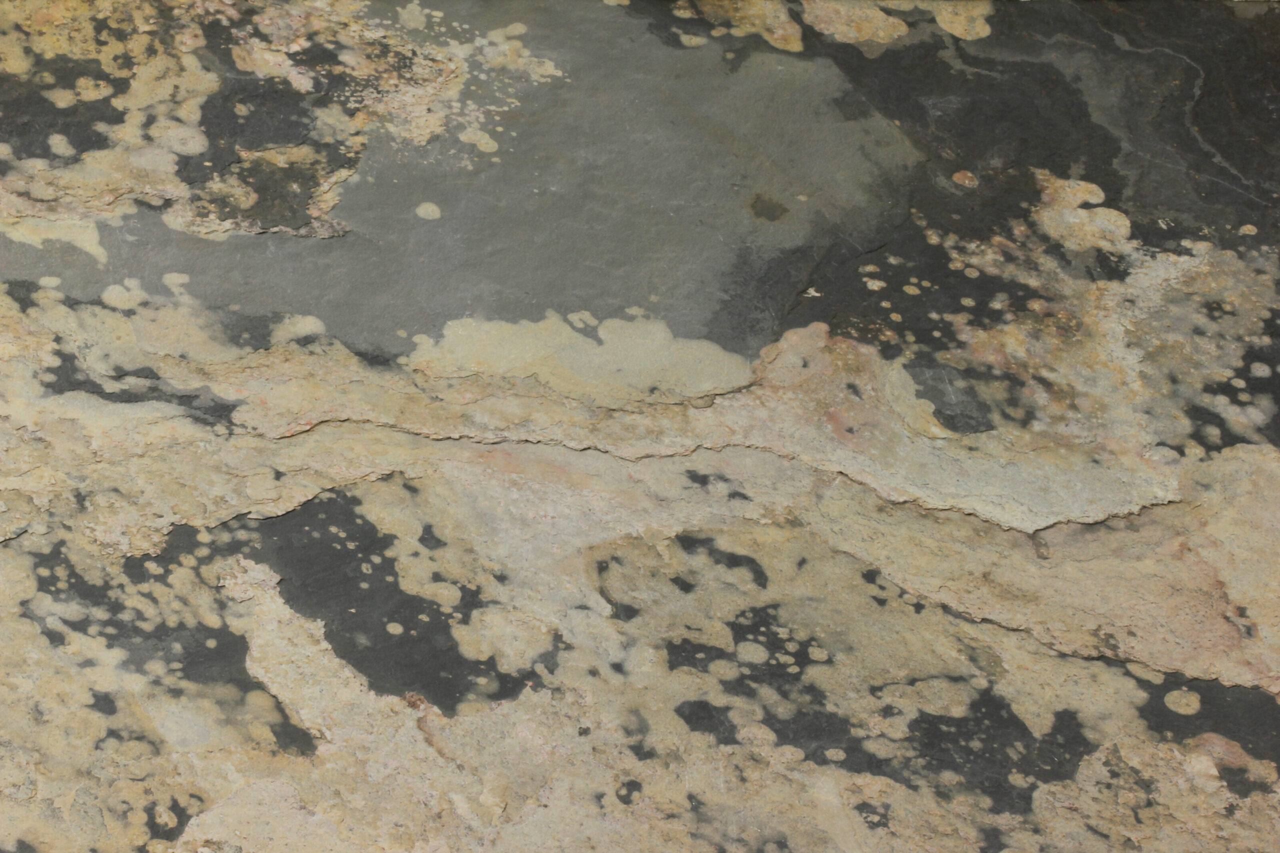 Feuille de Pierre Naturelle Moscou - Stoneleaf